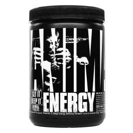 Animal Energy
